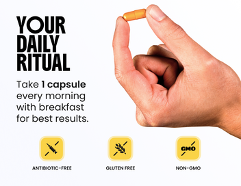 NZT-48, The Limitless Pill, Real Limitless Pill - Limitless X