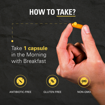 NZT-48, The Limitless Pill, Real Limitless Pill - Limitless X