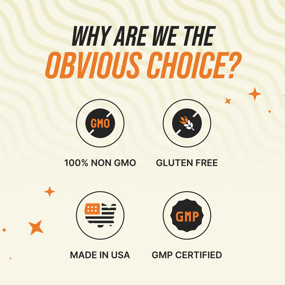 NZT-48, The Limitless Pill, Real Limitless Pill - Limitless X